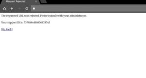 How To Fix Requested URL Was Rejected Error