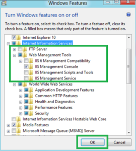 How to Install IIS on Windows 8 10 11 | Lab-One